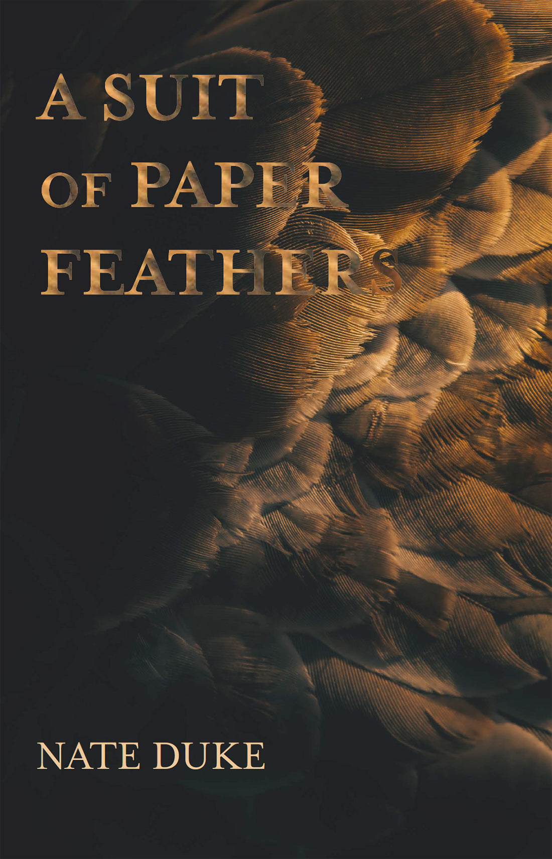A Suit of Paper Feathers by Nate Duke